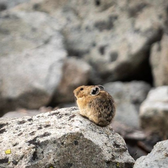Home - Washington's National Park Fund
