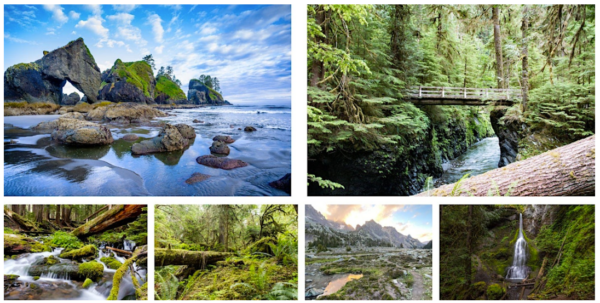 The Kula Academy: Exploring Olympic National Park & Protecting the ...