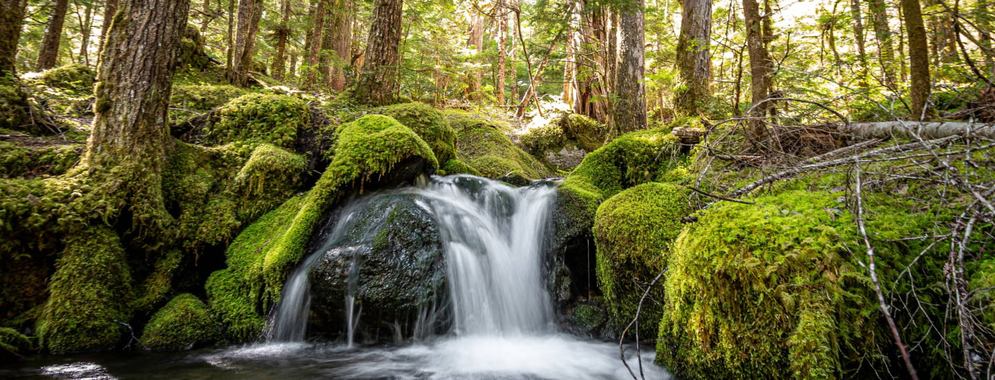 Must-See Waterfalls in Washington's National Parks - Washington's ...